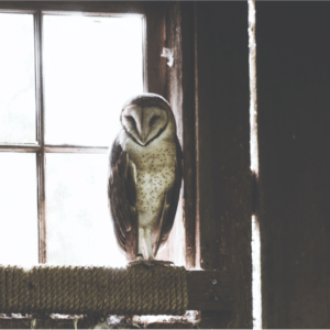 About HonorBuilt | Expert Tech Installation Professionals